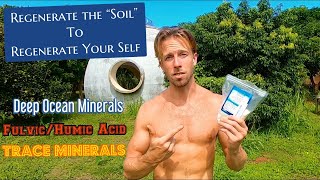 Spencer Mack - Regeneration Through Remineralization – Baja Gold Salt Co.